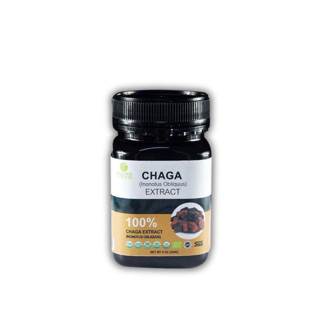 100% Natural Chaga Extract Powder | Immunity & Stamina | Ayurveda ...